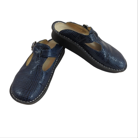 Alegria | Shoes | Algeria Alg233 Classic Slipon Shoes Leather Clogs ...